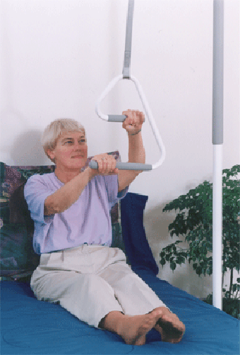 Bed Assist Rails | Bed Rails | Bed Rails For Seniors - DISCOUNT - Bed ...